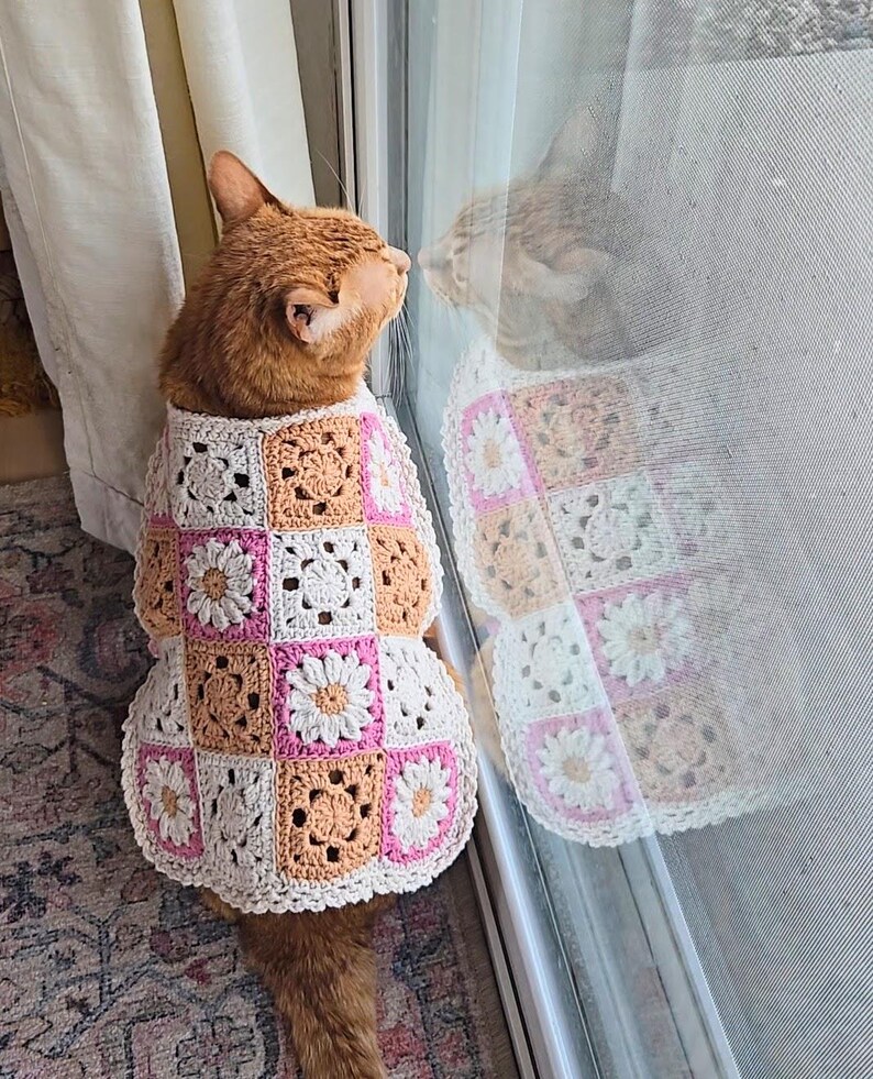 Cat Sweater Crochet Pattern — Daisy Cat Sweater | Daisy and Lacy Granny ...