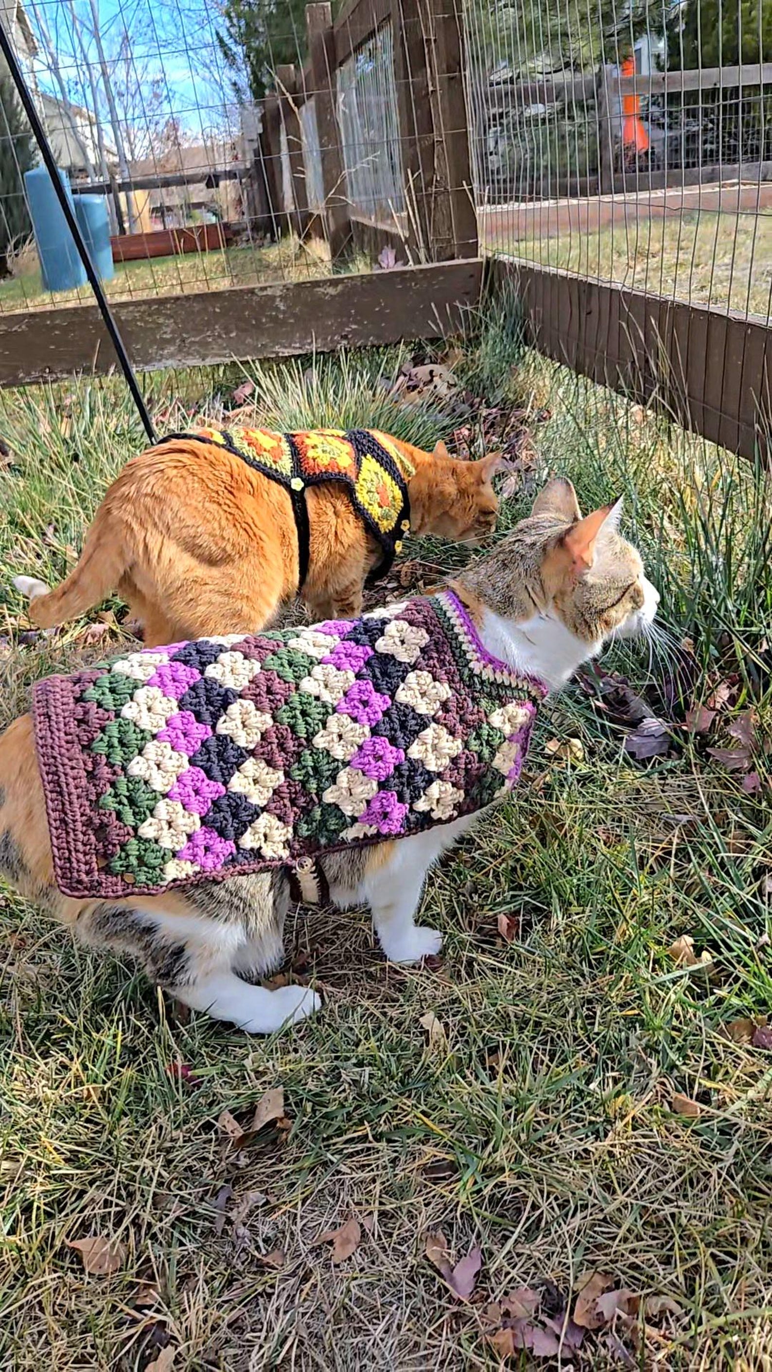 Cat Sweater Crochet Pattern Diamond Cat Sweater Diamond Crochet Stitch ...