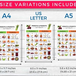 Prebiotic and Probiotic Food Chart, Gut Microbiome Food List, Gut ...