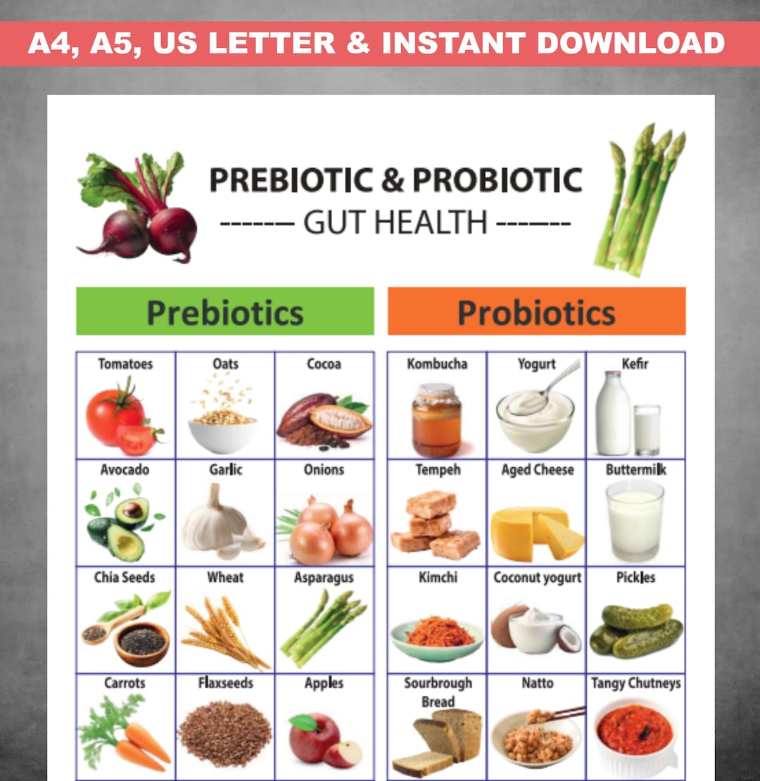 Prebiotic and Probiotic Food Chart, Gut Microbiome Food List, Gut Health Food Chart, Prebiotic ...