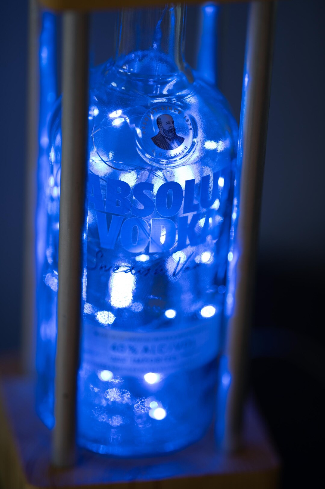 Absolut Vodka Bottle Lamp LED Decorative Light With USB & Remote ...