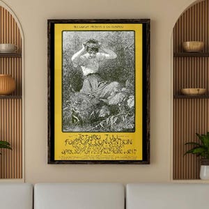 Vintage Jethro Tull Concert Poster - Etsy