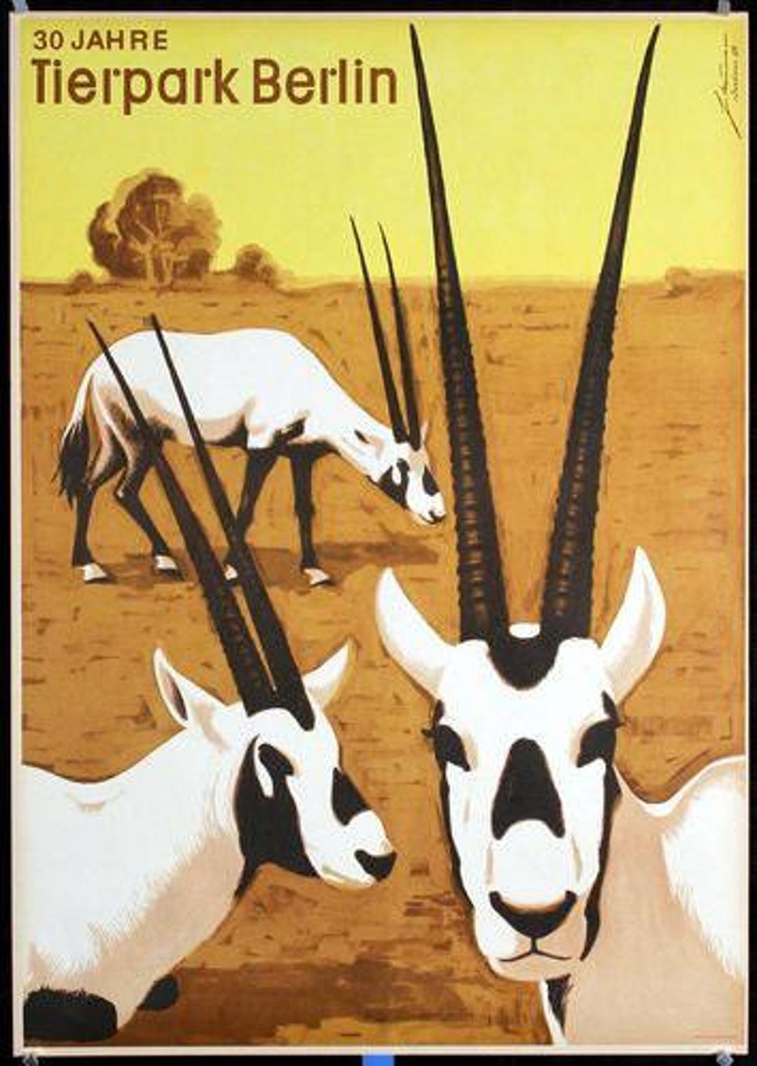 Vintage Berlin Zoo Antelope Tourism Movie Poster A3/a4 - Etsy