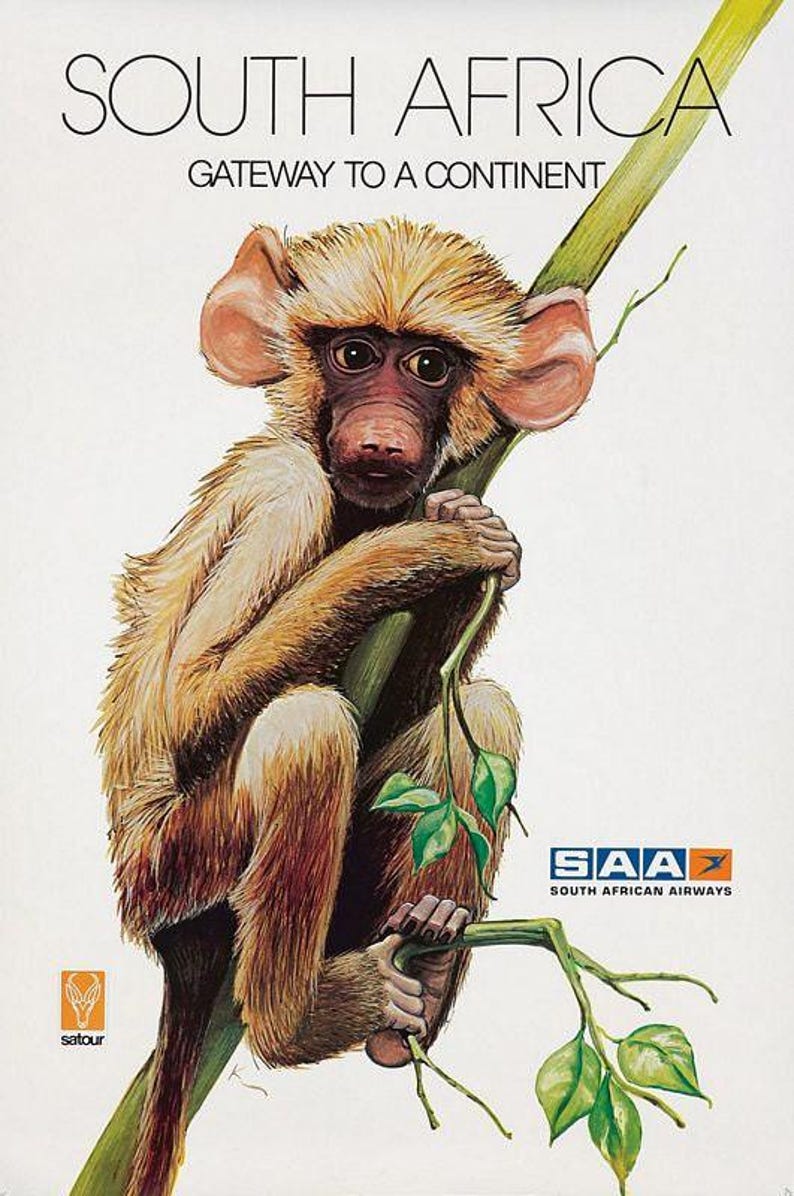 Vintage South African Airlines Poster Print A3/a4 - Etsy