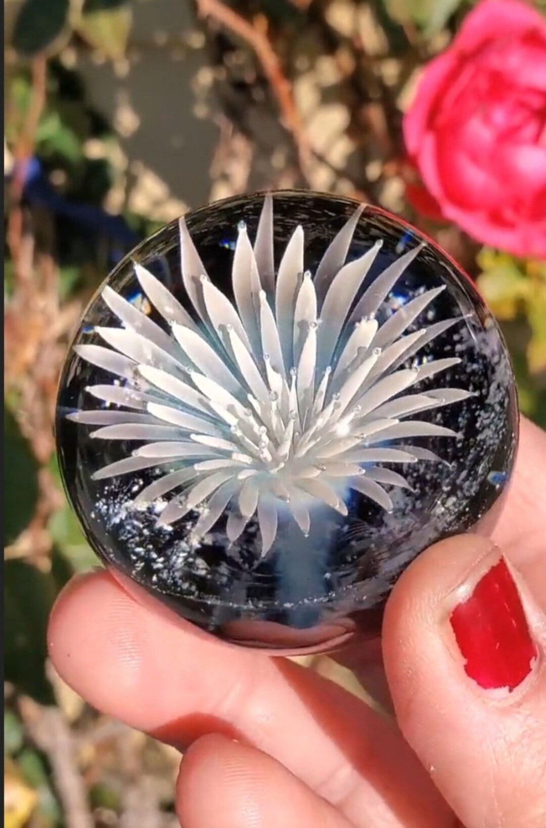 Glass Lotus Memorial Orb- Ashes in Glass - Etsy