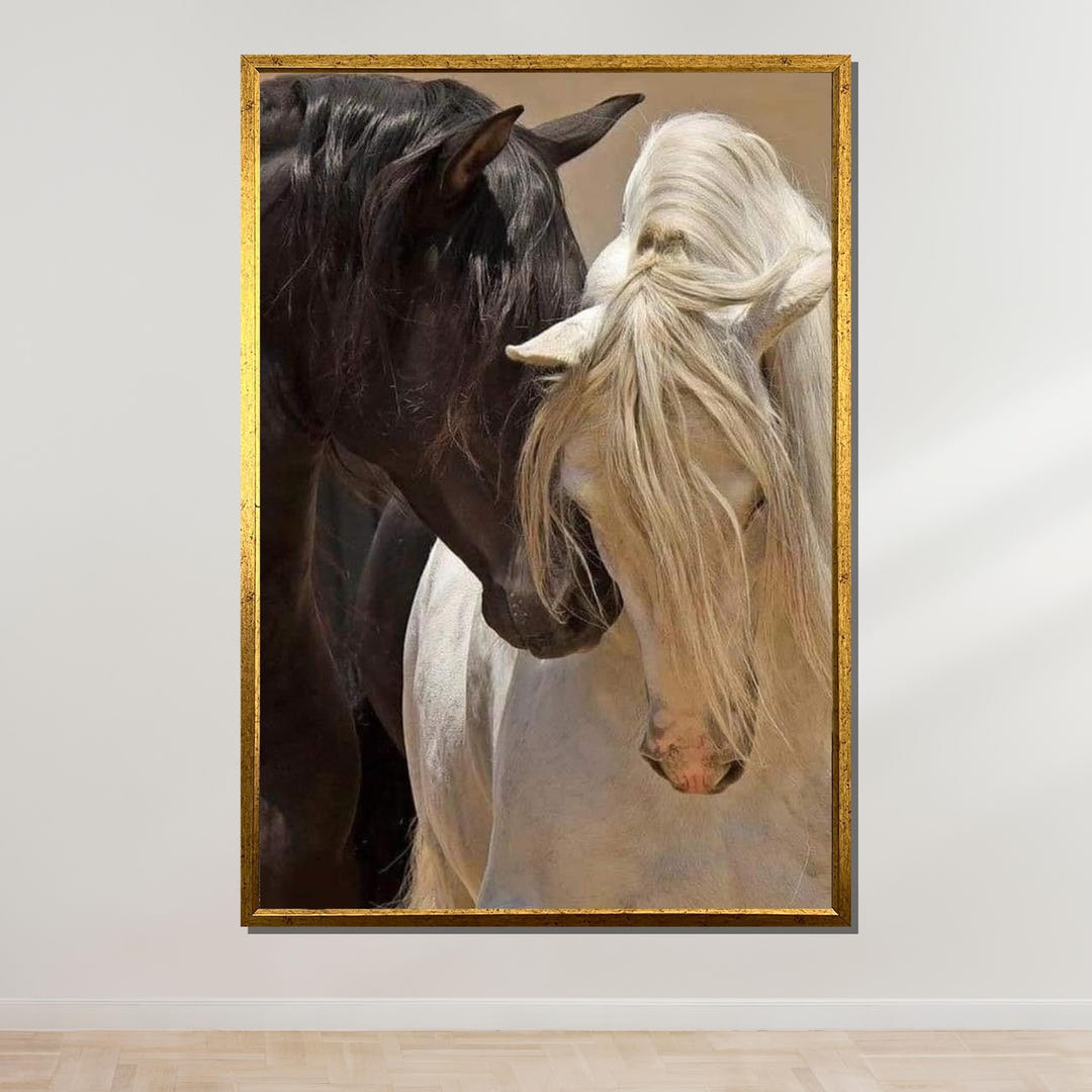 Black and White Horses, Equine Love Art, Majestic Horse Duo, Animal ...
