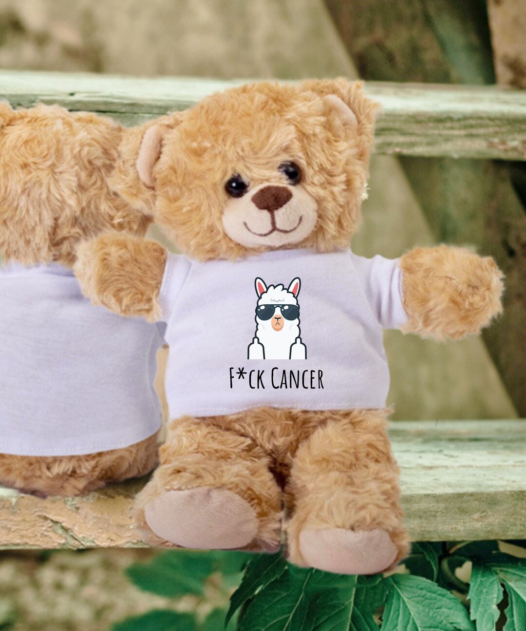 Fuck Cancer Teddy, Cancer Care Package, Chemo Gift for Him Care Package ...