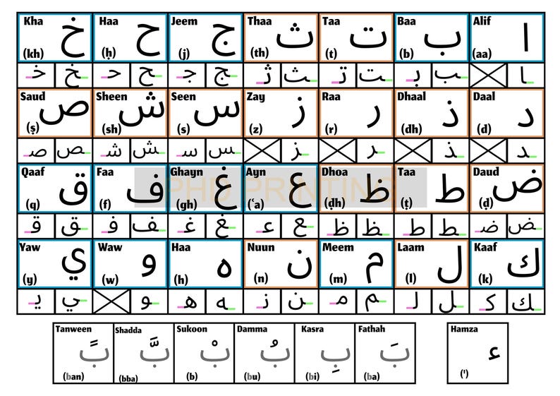 Arabic Alphabet Poster: Transliteration, Sun & Moon Letters (digital ...