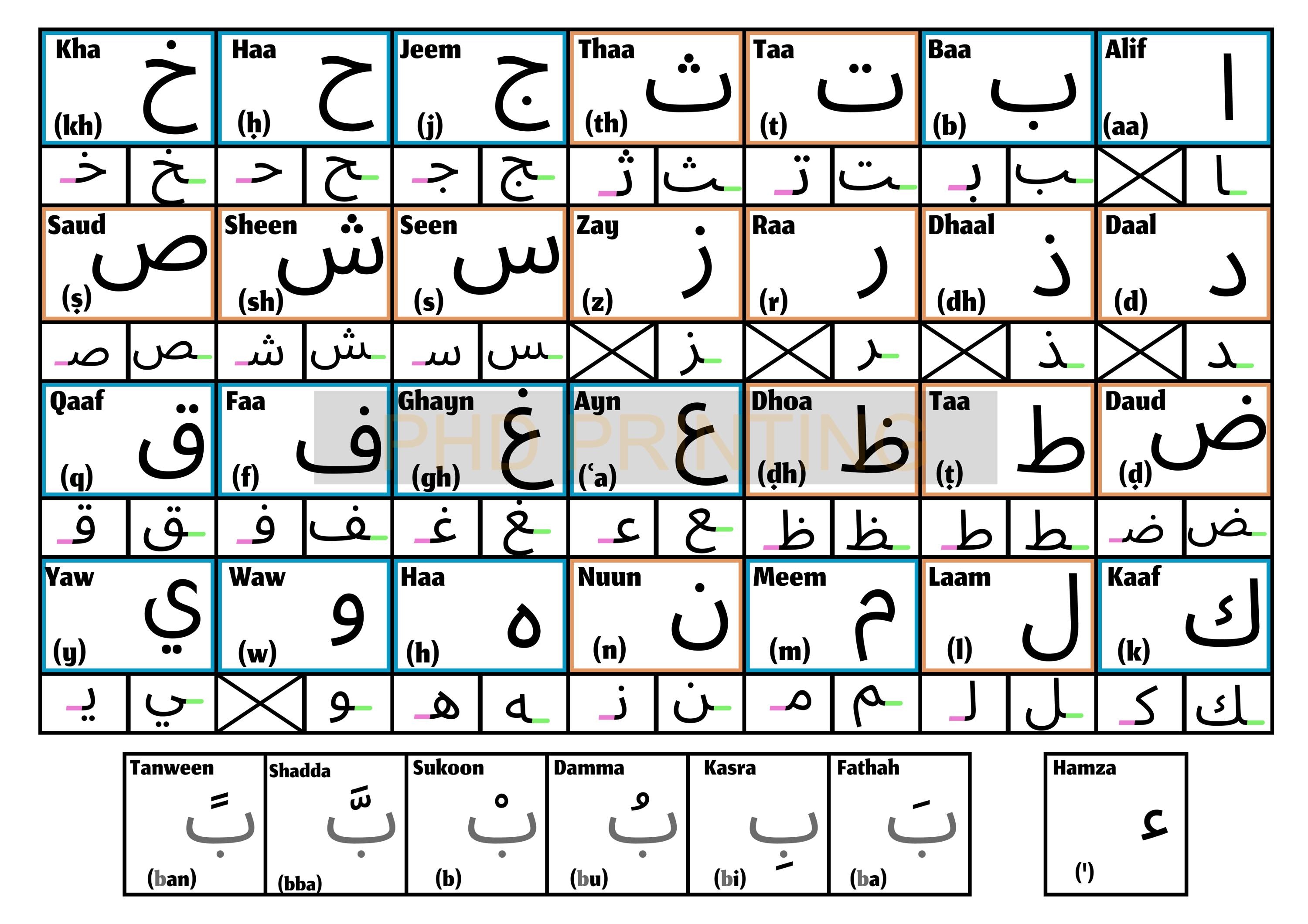 Arabic Letters Digital PDF. Print and Display. Arabic Learning Poster ...