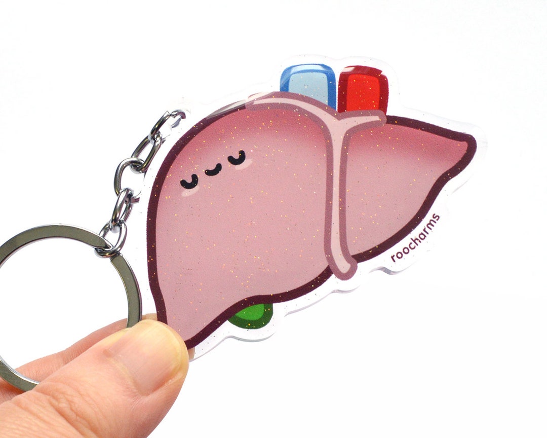 Liver Acrylic Keychain Anatomy Biology Nurse Nursing - Etsy