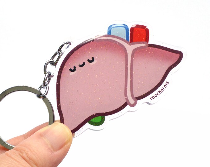 Liver Acrylic Keychain, Anatomy, Biology, Nurse, Nursing Student ...
