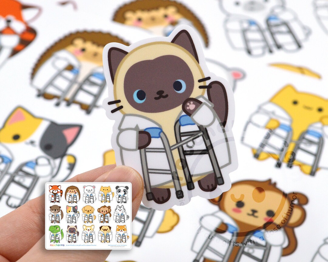 Physical Therapy Animal Sticker Sheet for Pts, PT Assistants, PTA ...