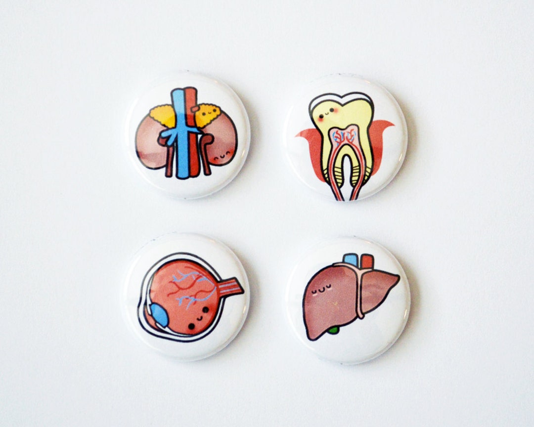 Human Anatomy Magnet, Anatomy Button, Biology Magnet, Biology Button ...