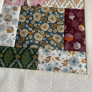 Slow Stroll Unfinished Crib Quilt TOP by Fancy That for Moda Fabric, 38 ...