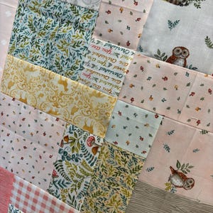 Effie's Woods by Deb Strain for Moda, Woodland Animal Fabric Quilt TOP ...