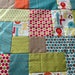 Alphabet Soup Gender Neutral UNFINISHED Quilt Top, Jungle Animals ...