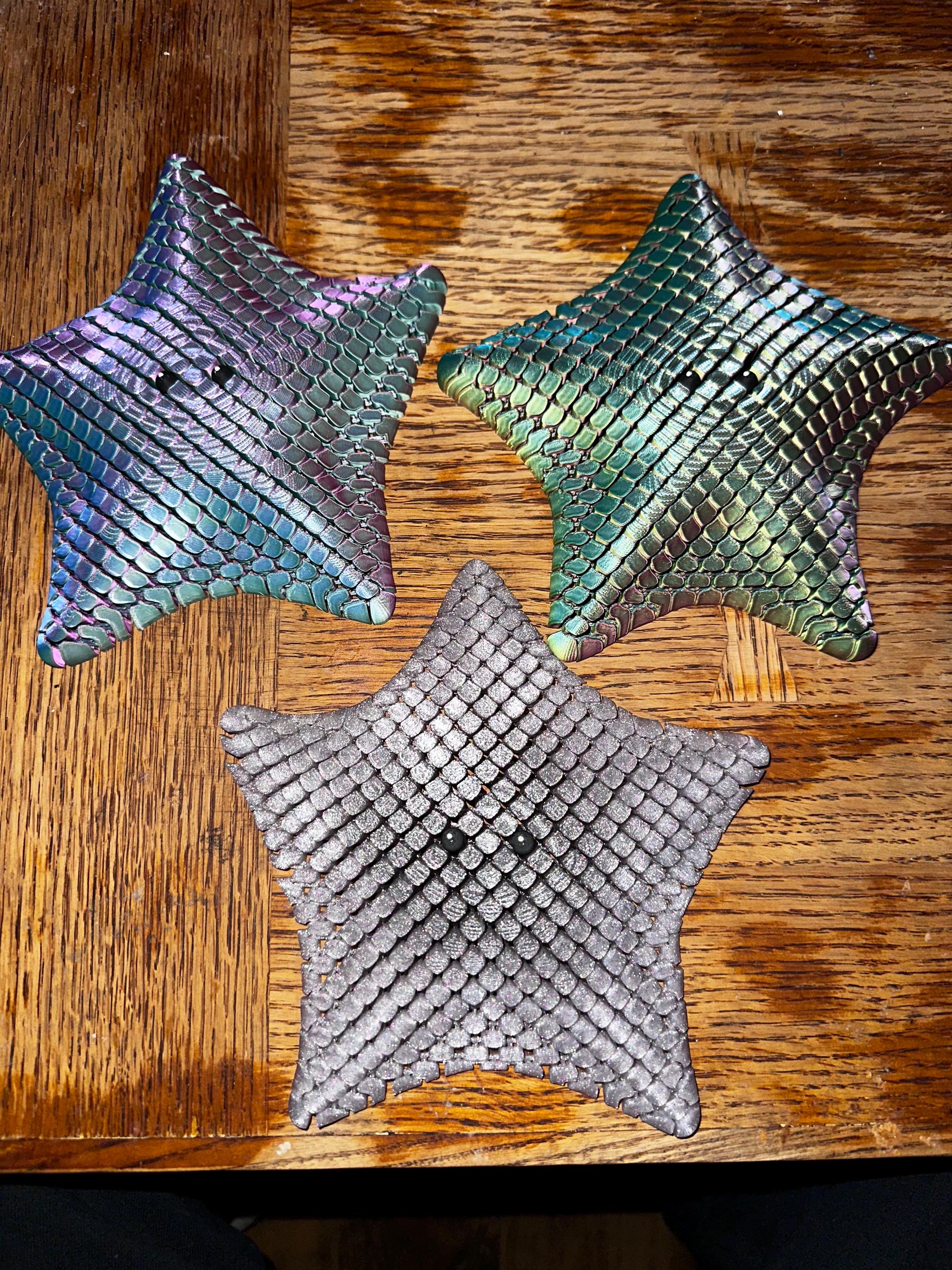 3D Printed Starfish Fidget - Etsy