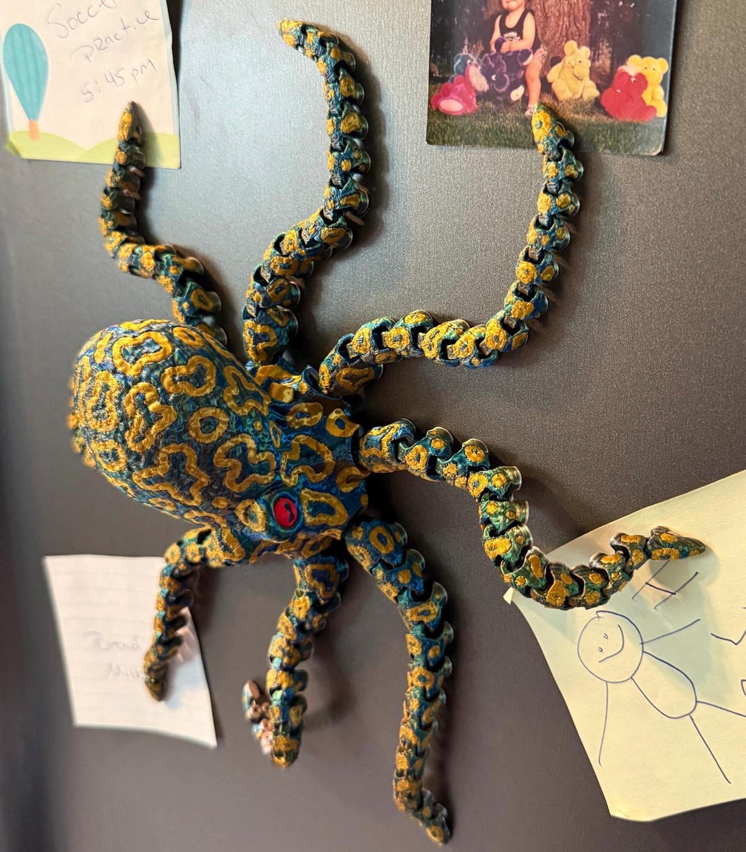 Magnetic Flexi Octopus Fridge Magnet - Multicolor 3d Print - Etsy