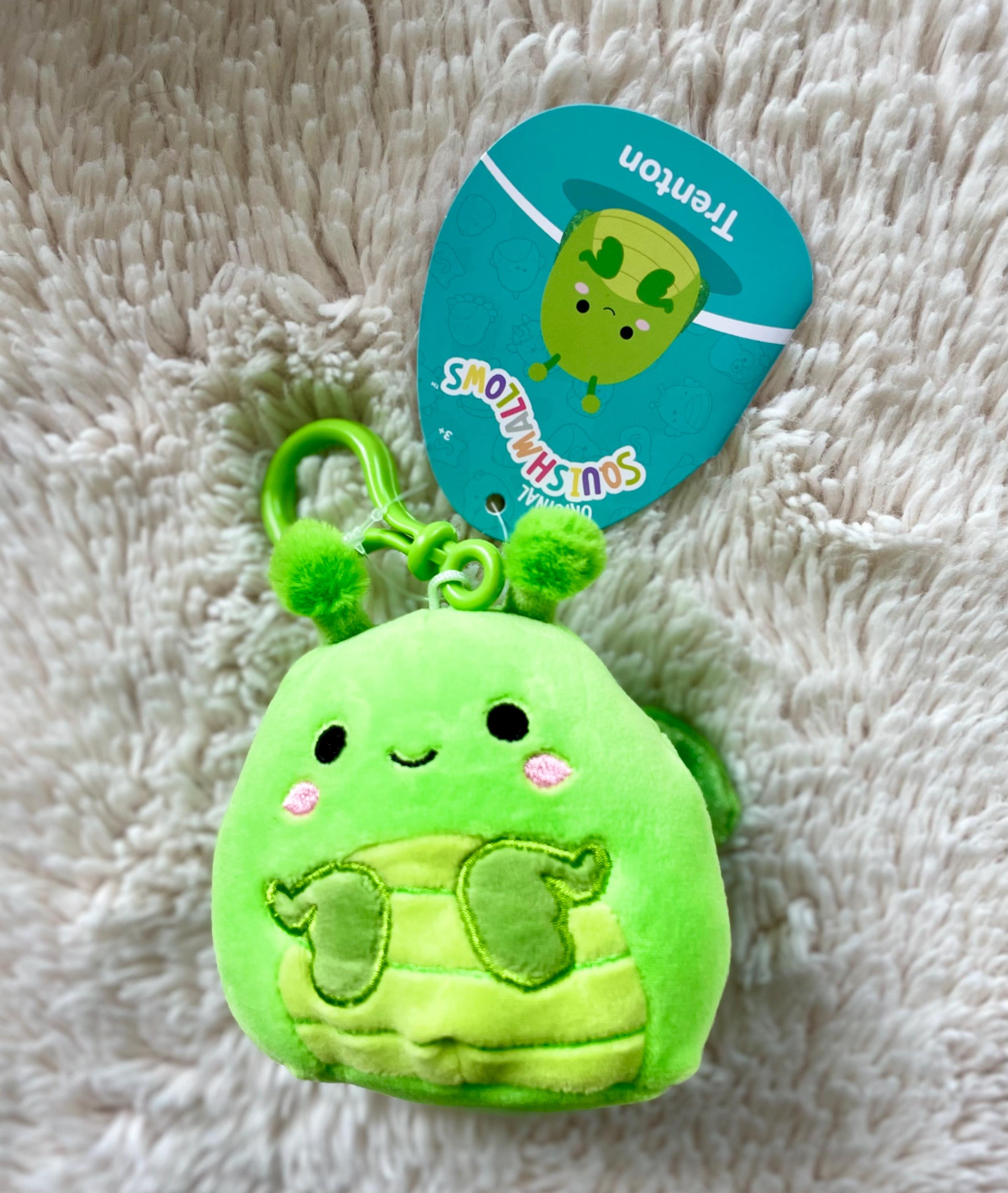 Kandi Custom Frogs and Bugs - Etsy