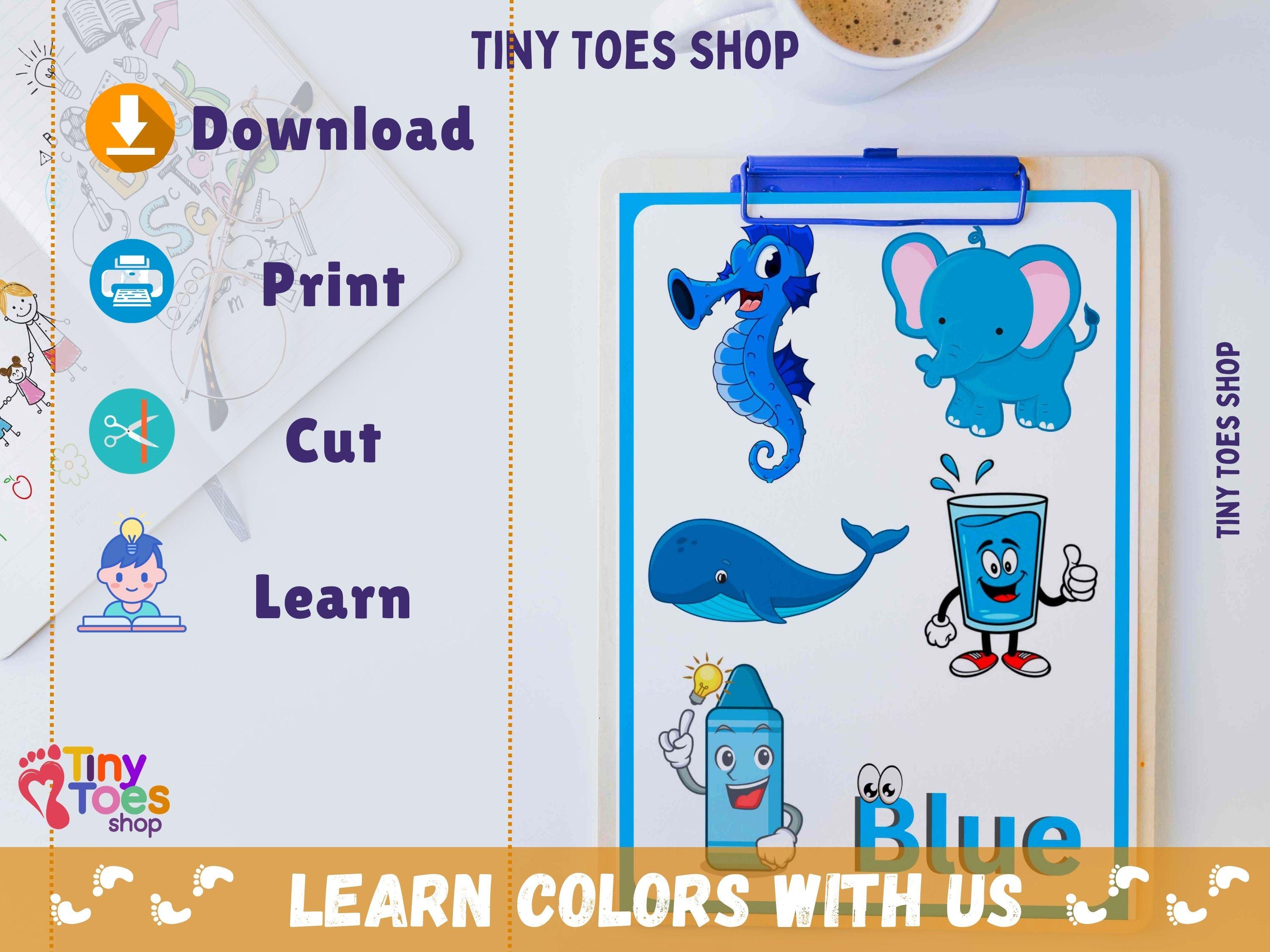 Color Learning Worksheets Bundle | Printable Educational Activities for ...