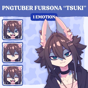 Custom Fursona Pngtuber Model | Pngtuber Commission | Fursona PNG Tuber ...
