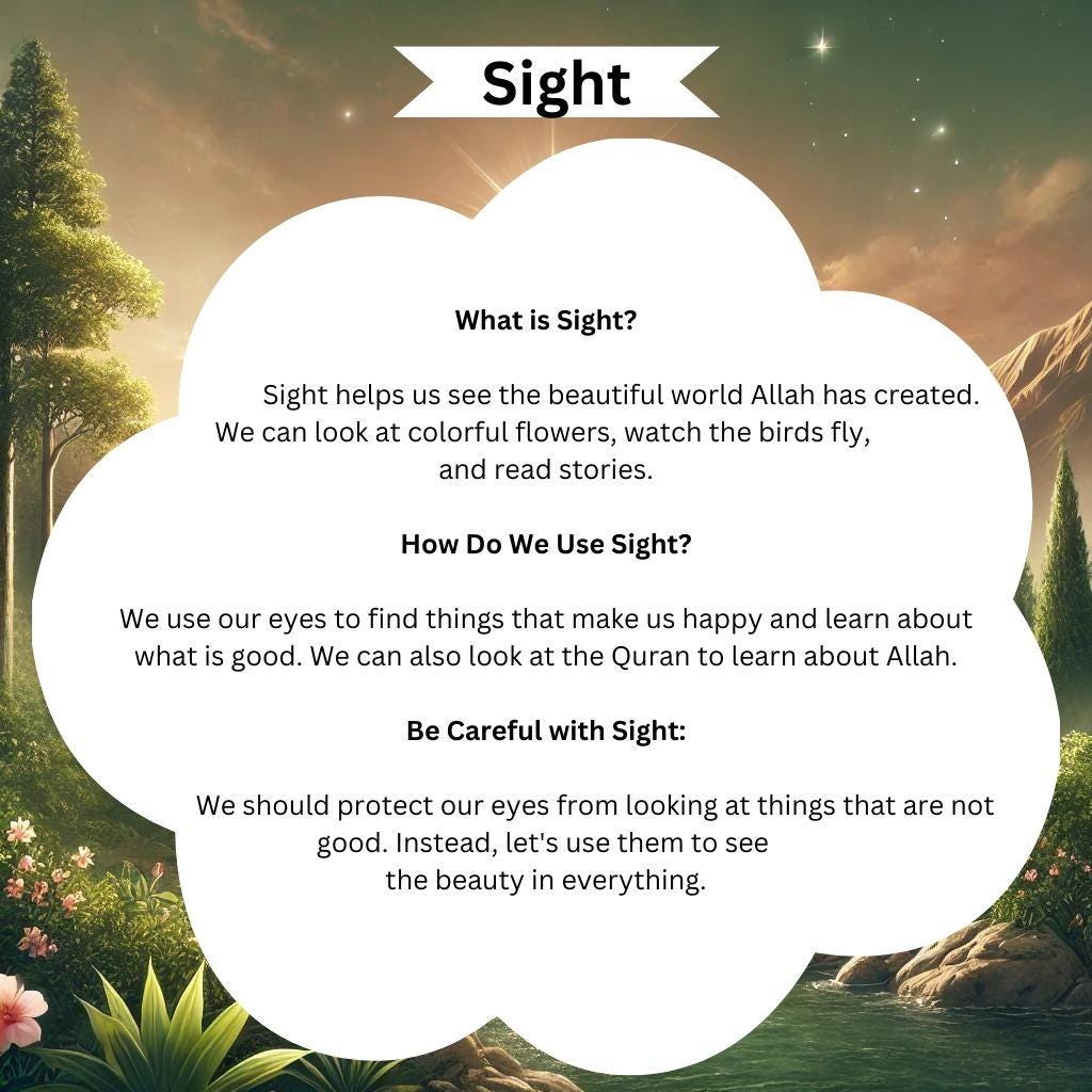 Learning About Five Senses - Etsy