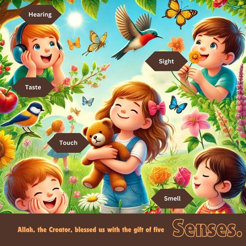 Learning About Five Senses - Etsy