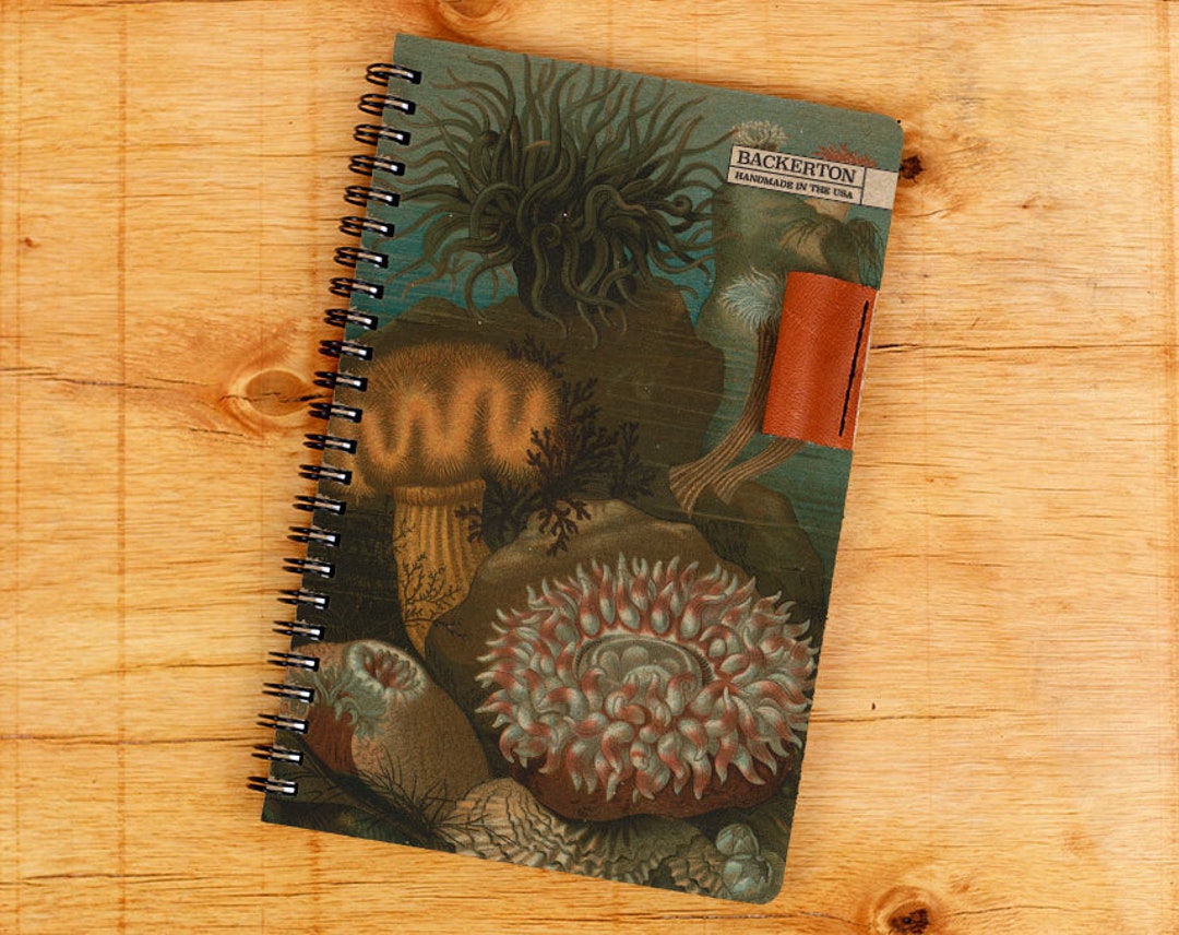 Coral Reef Notebook, Notebook, Coral Reef, Oean Notebook, Spiral ...