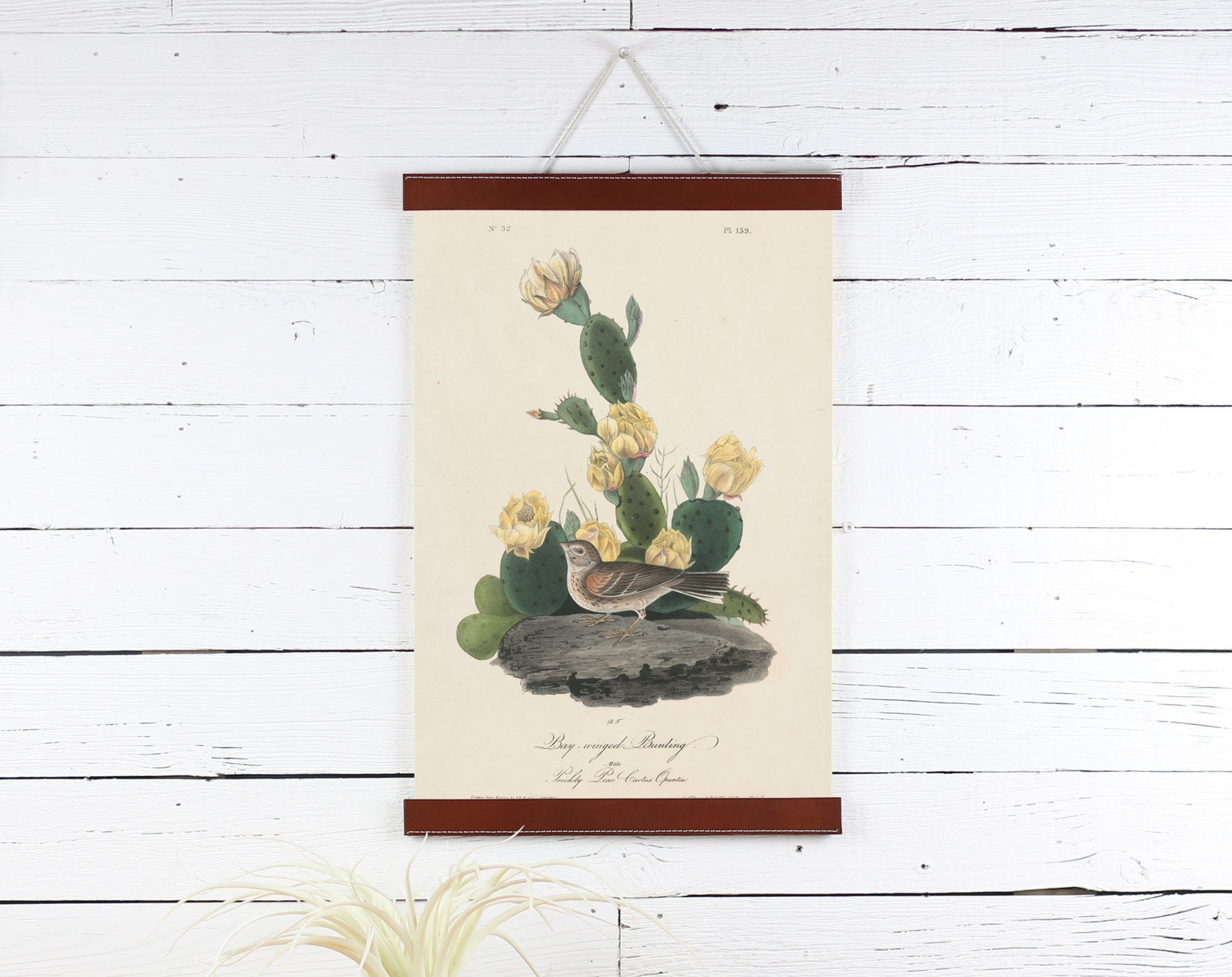 Leather Poster Hanger Cactus Print Poster Frame 12 X 18 | Etsy