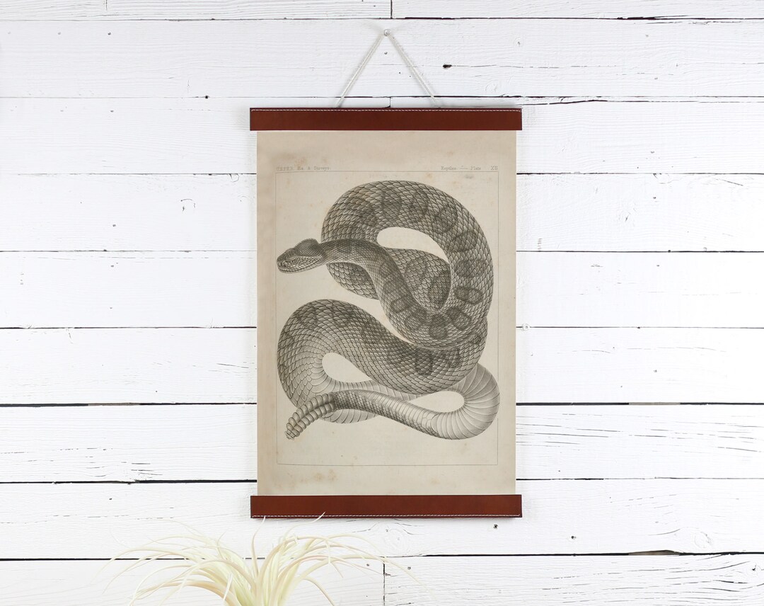 Leather Poster Hanger, Snake Print, Poster Frame, 12 X 18, Leather ...