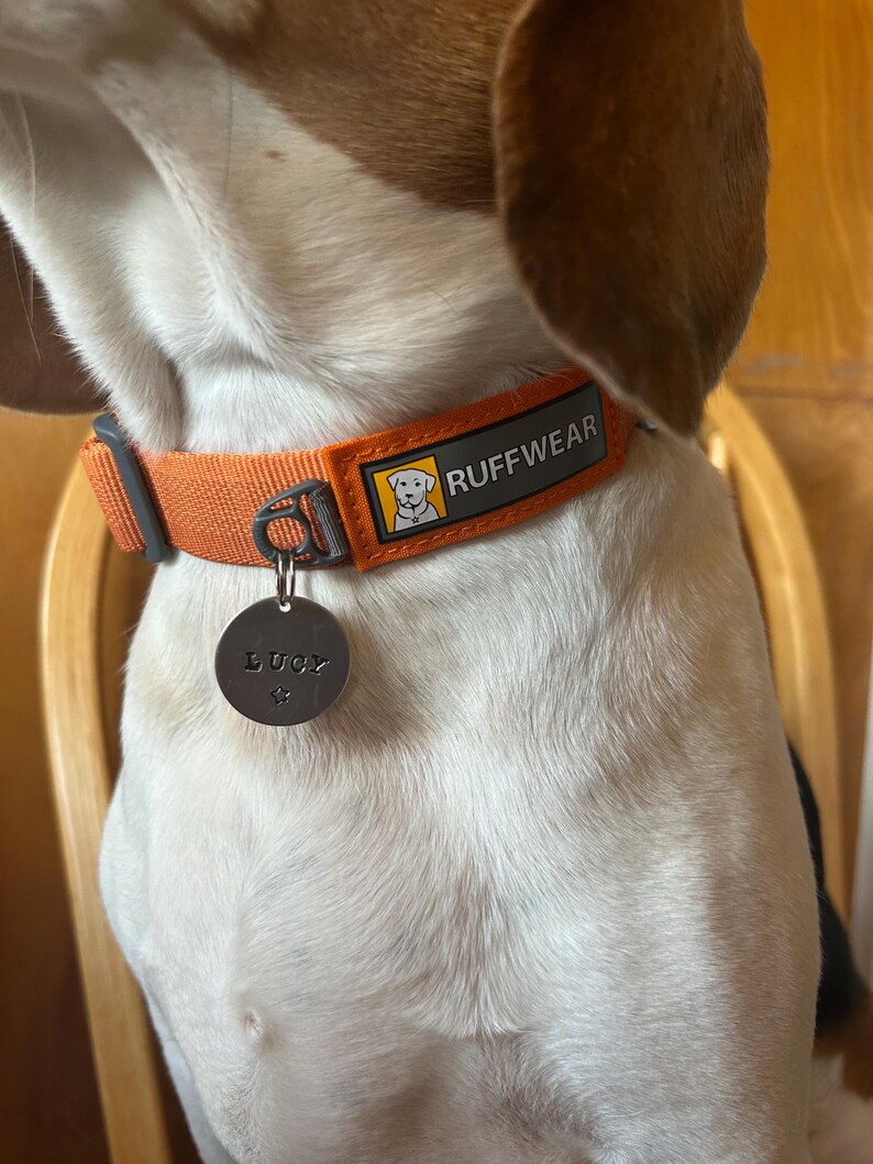 Pet ID Tag Dog Name Tag Minimalist Hand Stamped Custom Made - Etsy