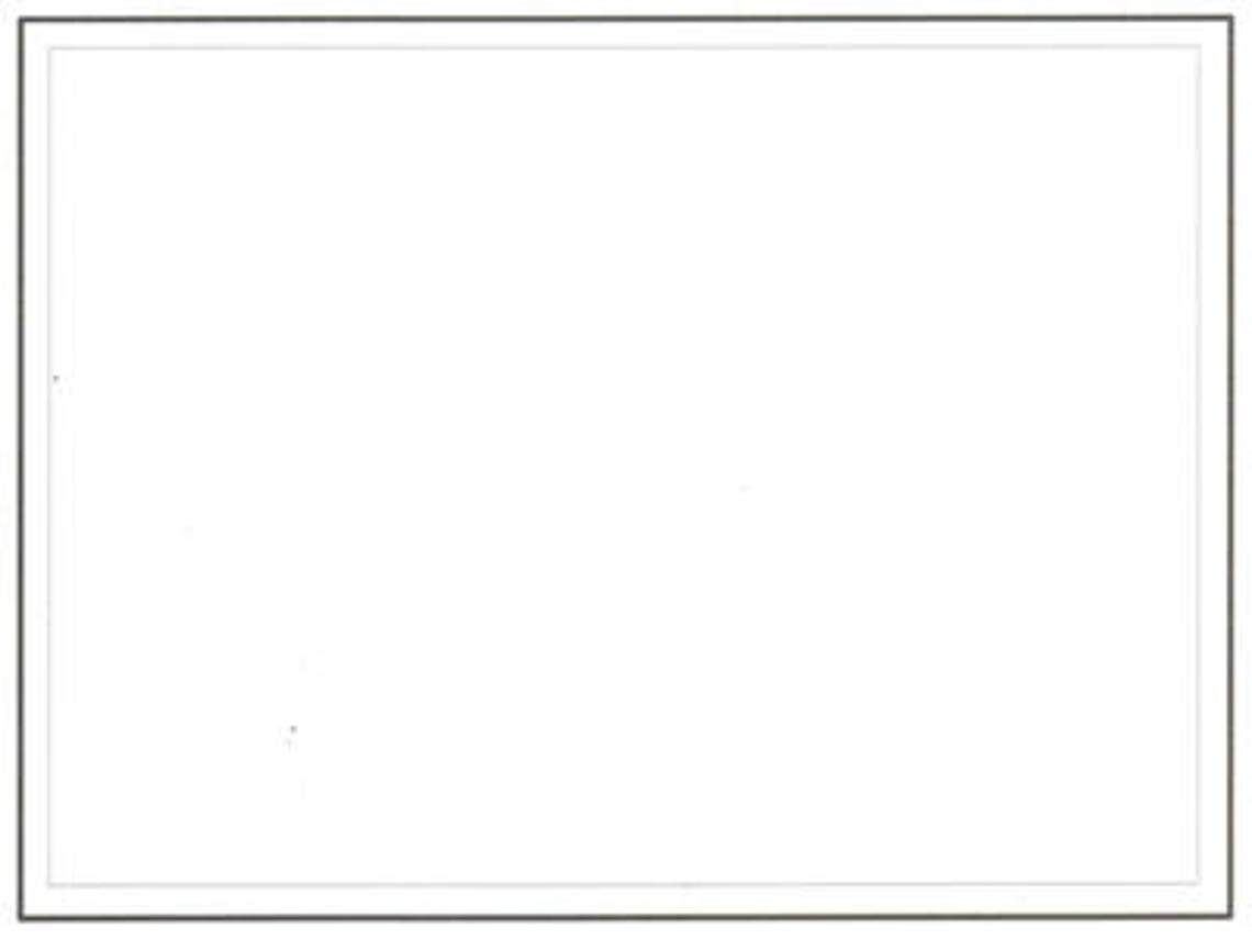 Siamese Cat Art Note Card - Etsy