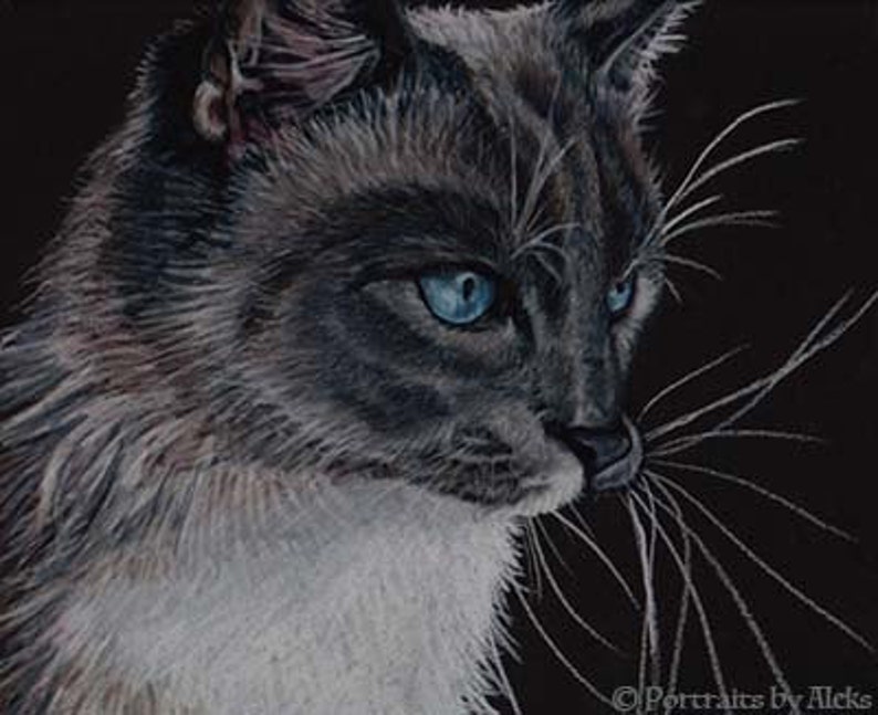 Siamese Cat Art Note Card - Etsy