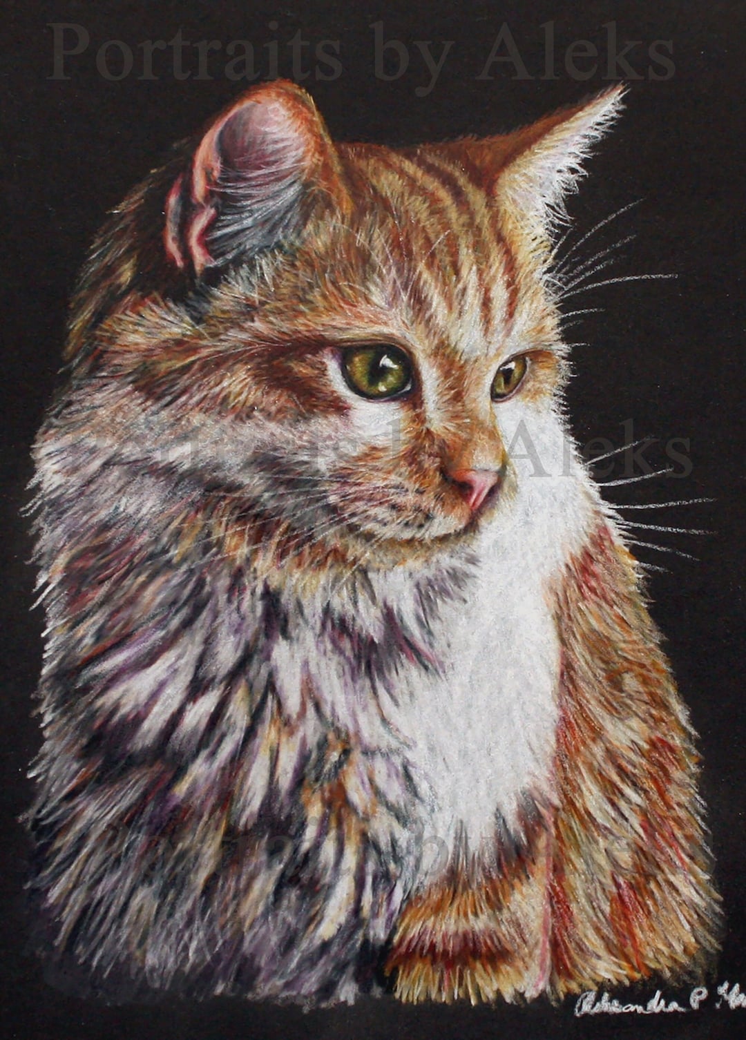 Colored Pencil Tiger Cat Drawing - Etsy