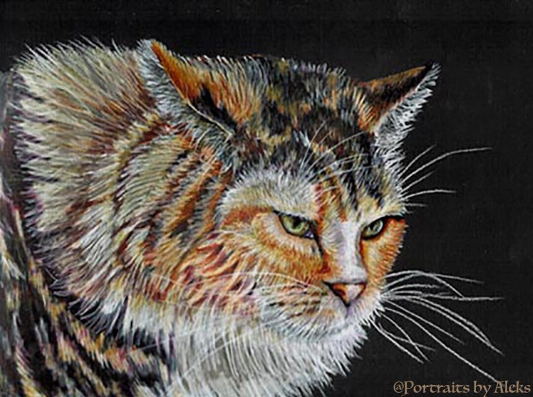 Colored Pencil Long Haired Calico Cat Drawing - Etsy