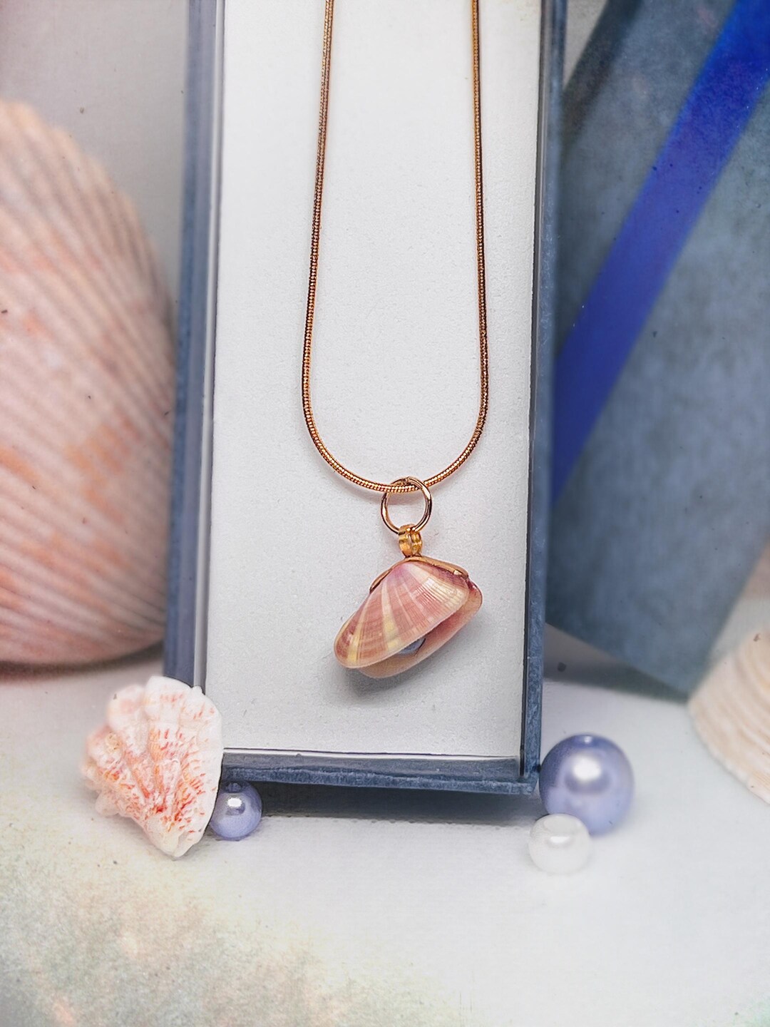 Coquina Shell Pendant Necklace Locket With Pearl - Etsy