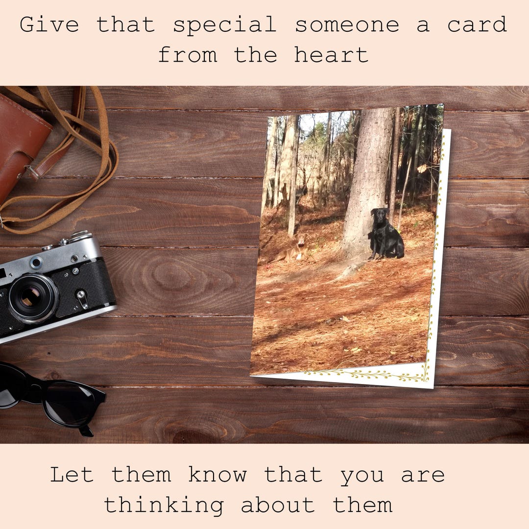 A-003 Two Dogs at Rest Note Cards of Peace Greeting Cards Anniversary ...