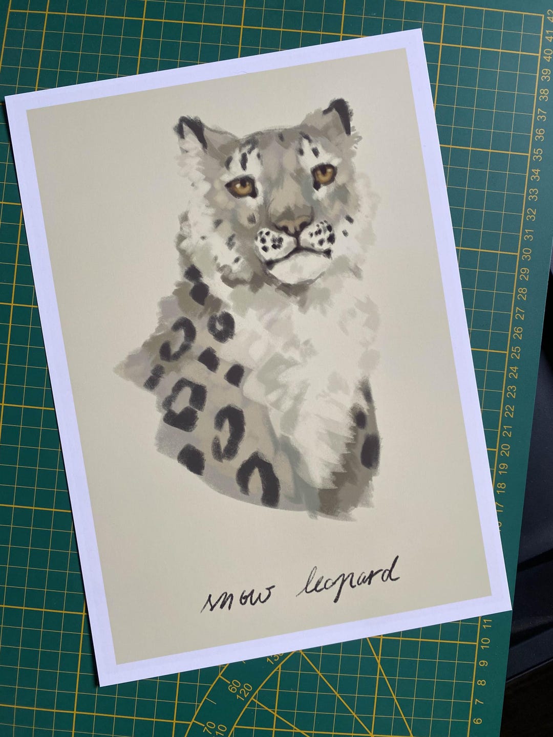 Snow Leopard Art Print - Wildlife Illustration - Etsy