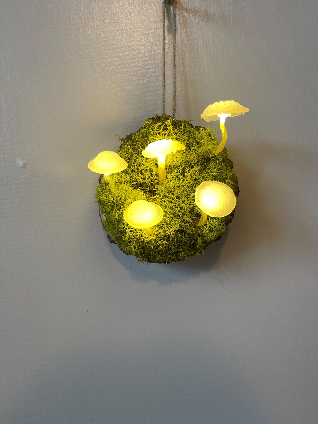 Mushroom Nightlight, Ornaments, Hanging Light, Glowing Mushrooms, Boho ...