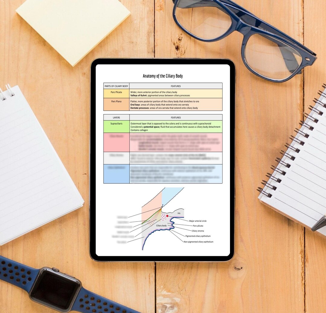 CILIARY BODY Anatomy Optometry Study Guide Anatomy Study Guide Digital ...