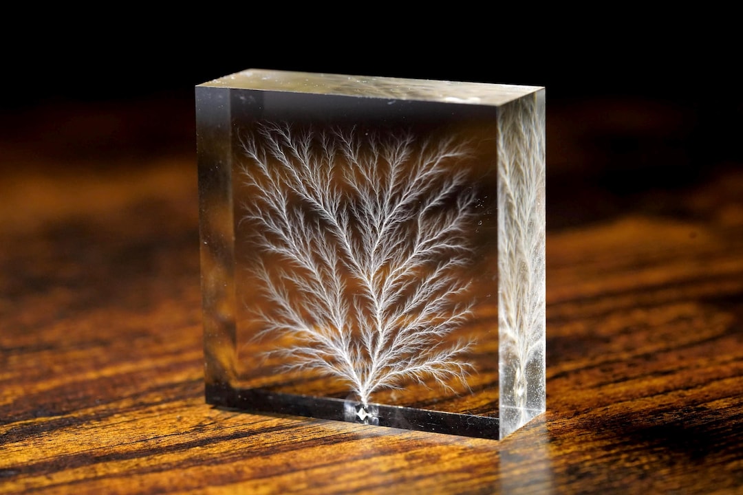 2"x2" X 0.75" Lichtenberg Figure/lightning in Acrylic Physics Sculpture ...