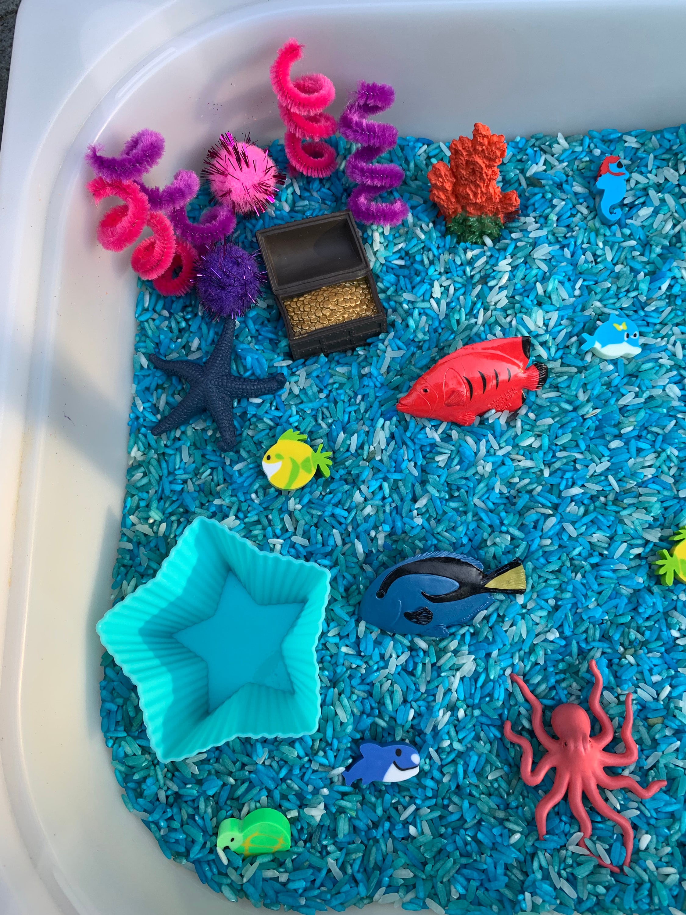 Under the Sea Sensory Bin Kit - Etsy