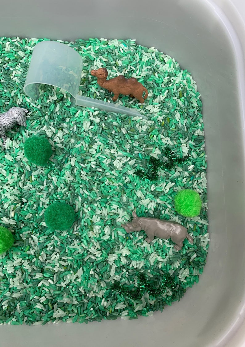 Wild Animal Jungle Sensory Bin Kit - Etsy
