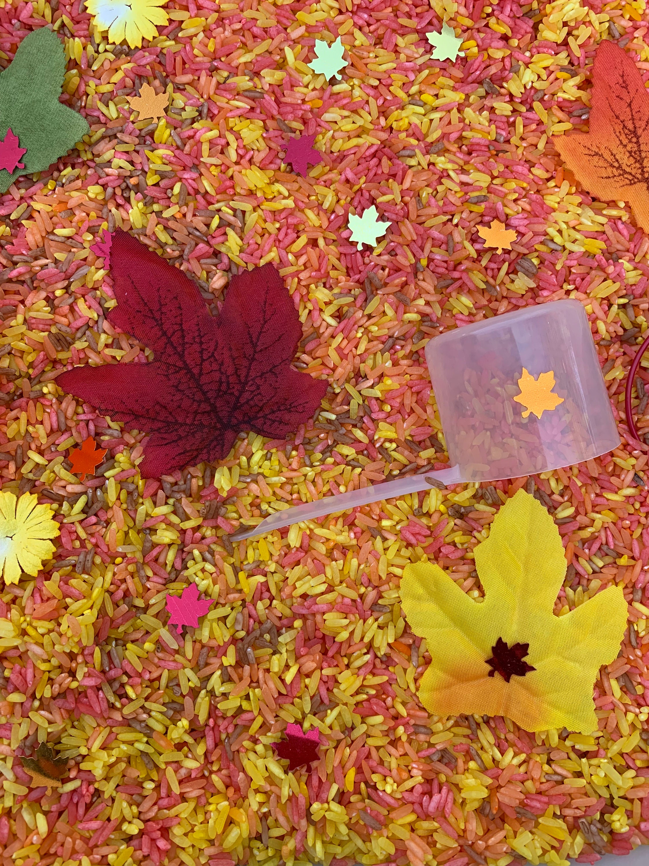Autumn Fall Leaves Sensory Bin Kit - Etsy