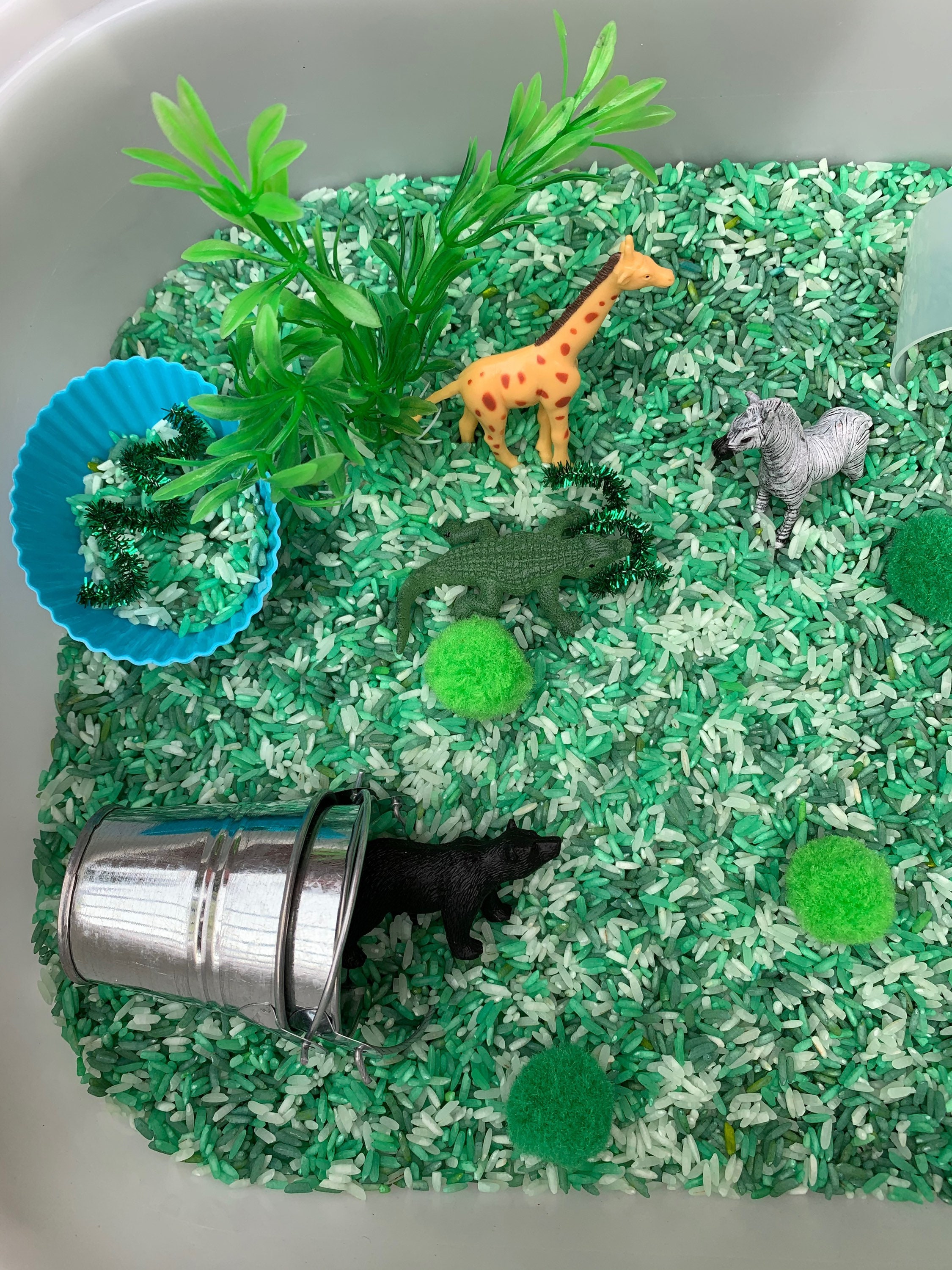 Wild Animal Jungle Sensory Bin Kit - Etsy