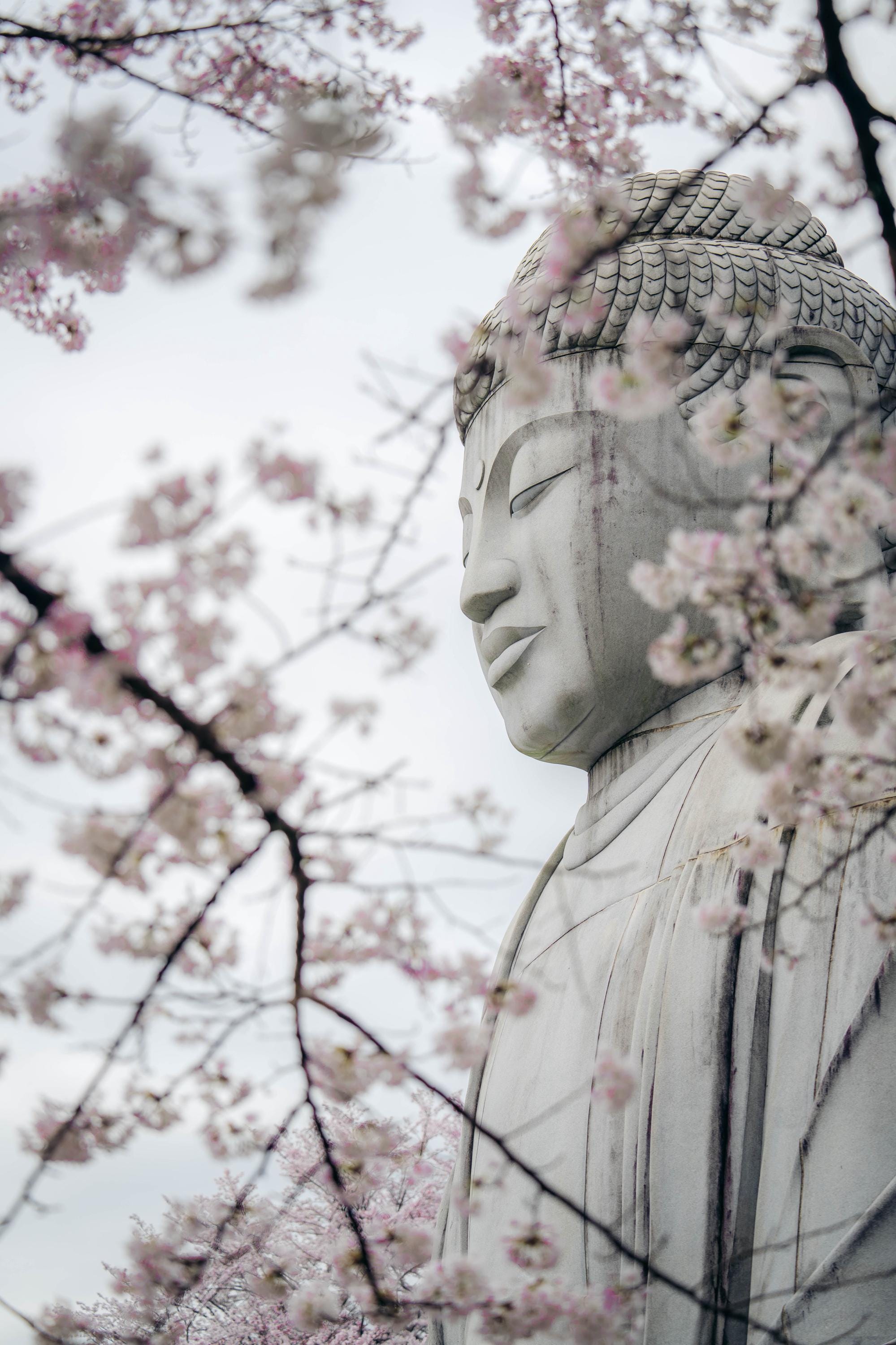 Tsubosakadera Temple II Print | Japan Collection | Original Fine Art ...
