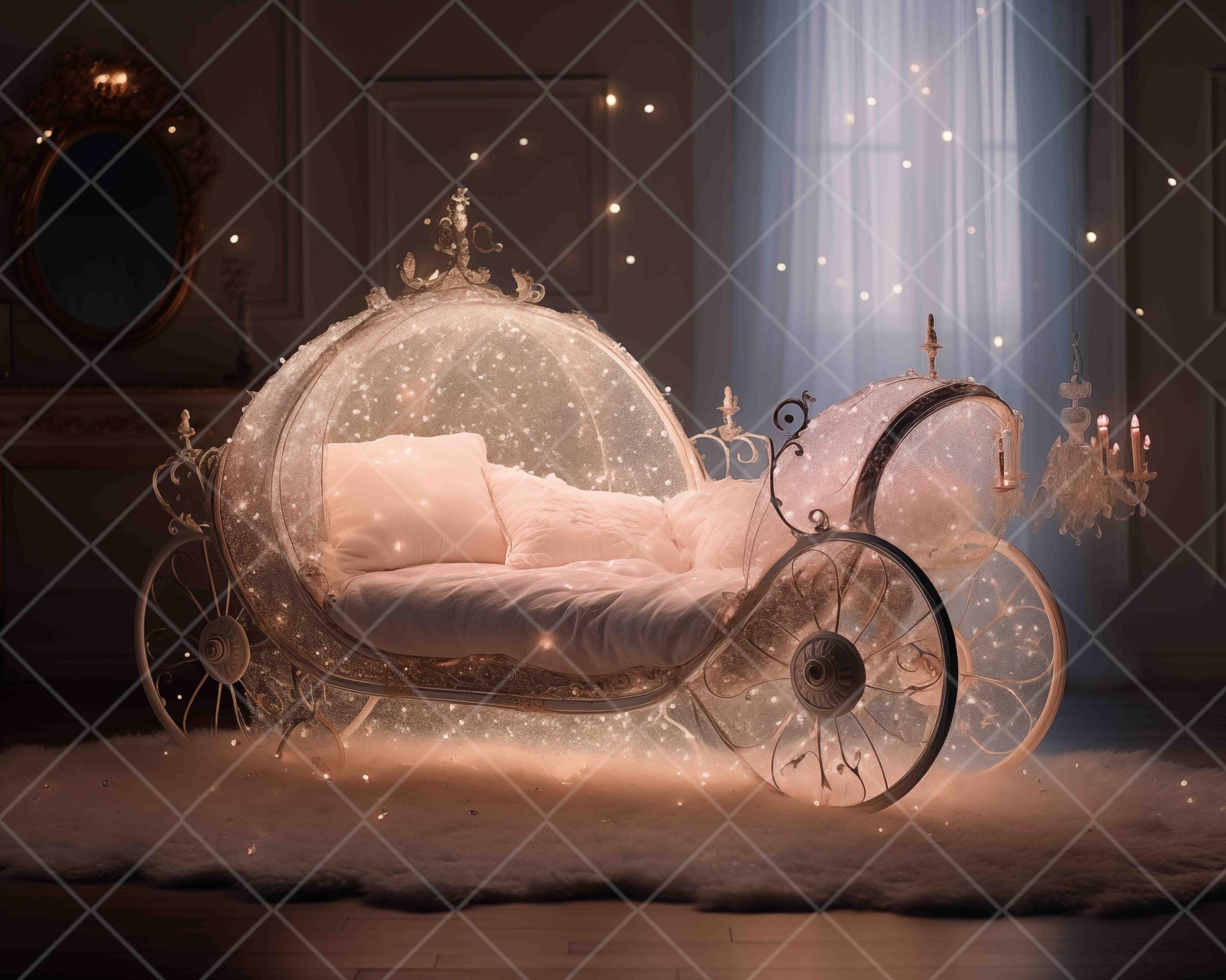 Cinderella Coach Newborn Digital Backdrop for Photography - Etsy