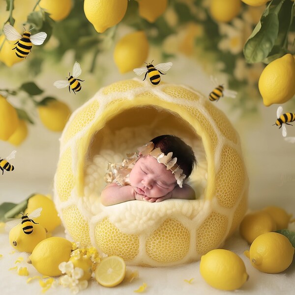 Lemon Newborn Prop - Etsy