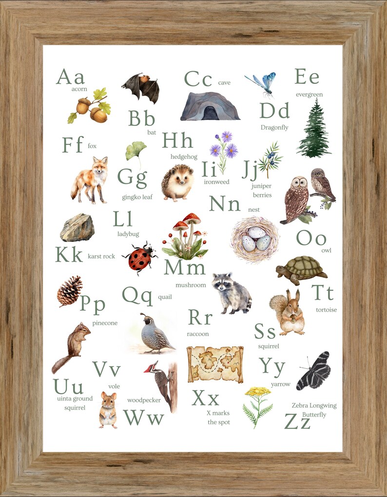 Printable Woodland Nature Alphabet Picture | Abcs | Nursery Decor - Etsy