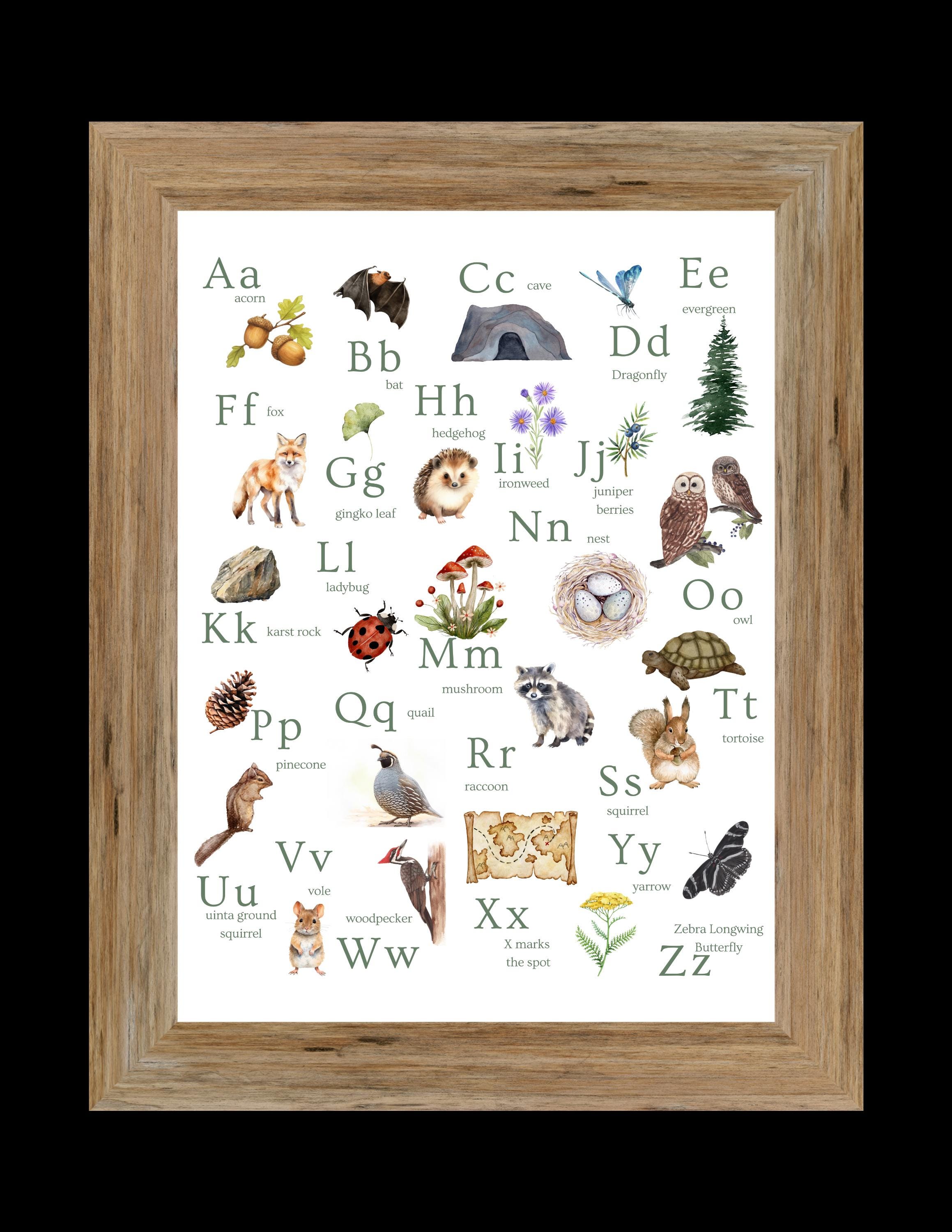 Printable Woodland Nature Alphabet Picture | Abcs | Nursery Decor - Etsy